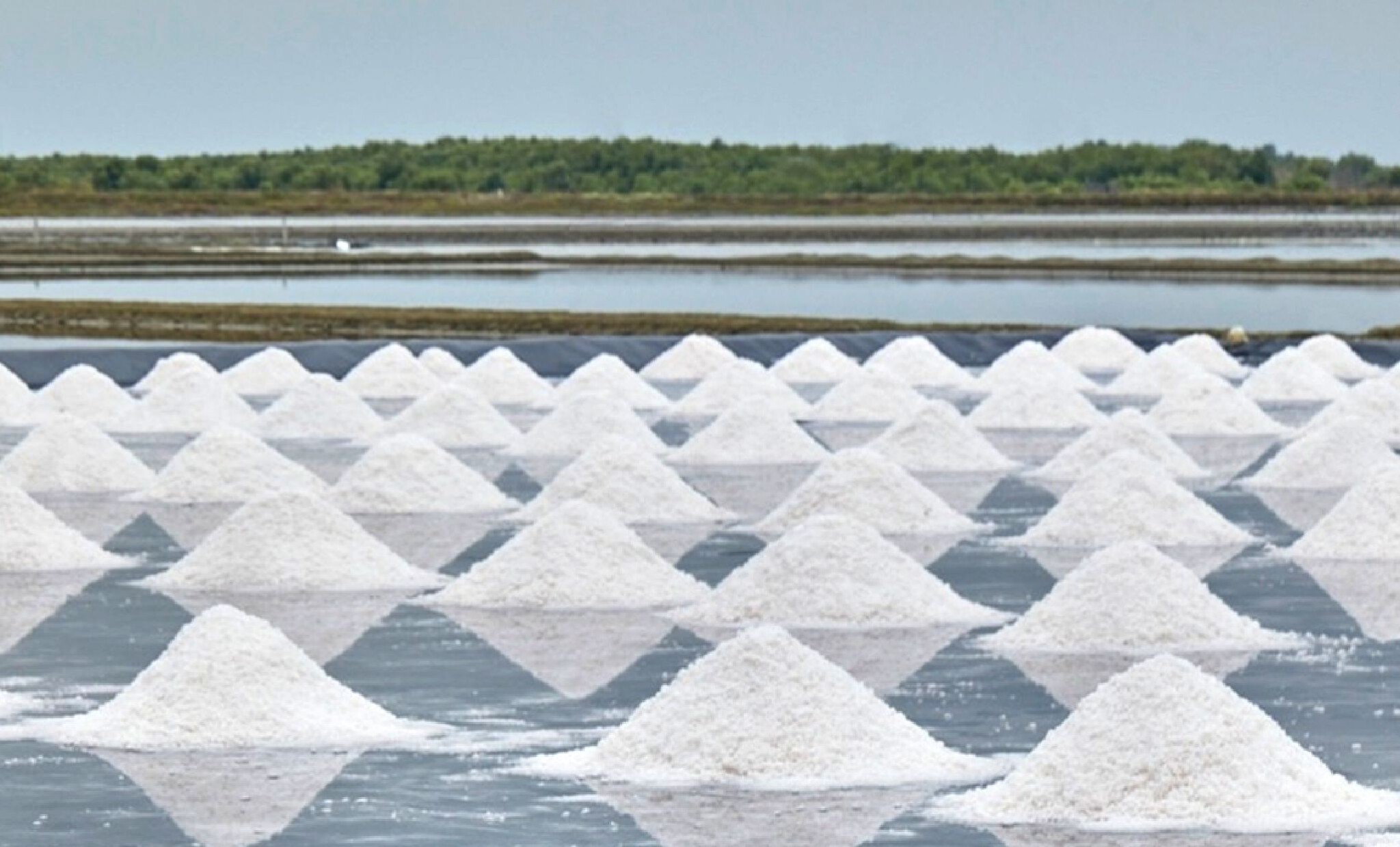 Salte – With something as simple as salt, it’s important to do it well ...